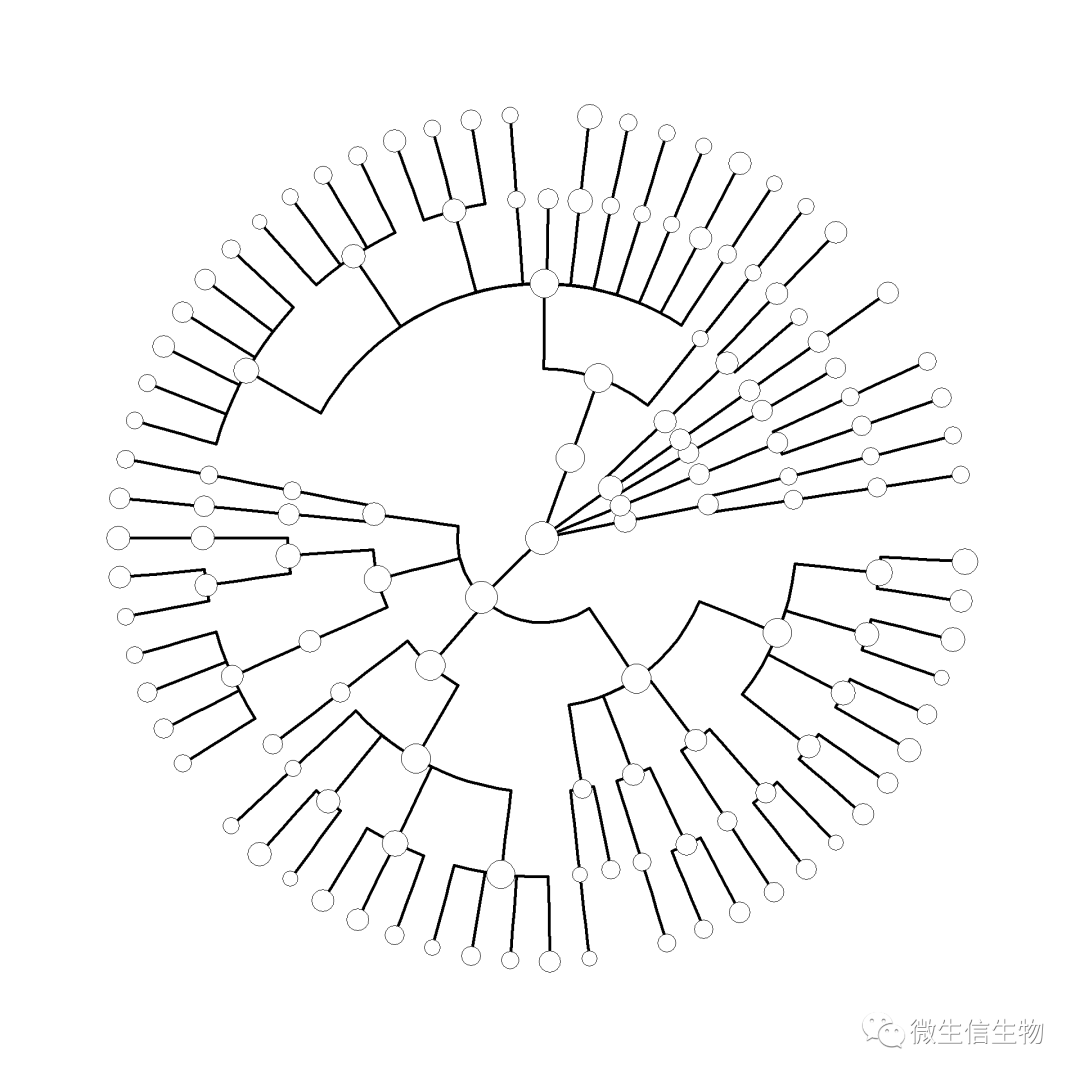 使用group by 数据变慢_R语言实现LEfse分析从数据整理到树形图绘制_weixin_39713686的博客-CSDN博客