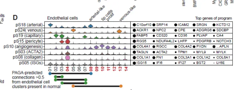 10X单细胞（10X空间转录组）数据分析之NMF寻找转录programs_单细胞nmf-CSDN博客