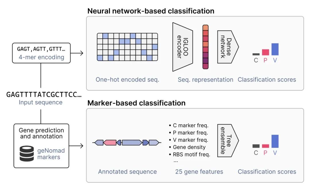 Nature Biotechnology | 使用geNomad识别移动遗传元素-CSDN博客