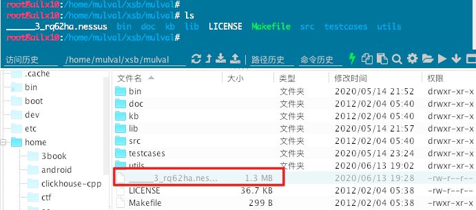 Mulval与Nessus联动-CSDN博客
