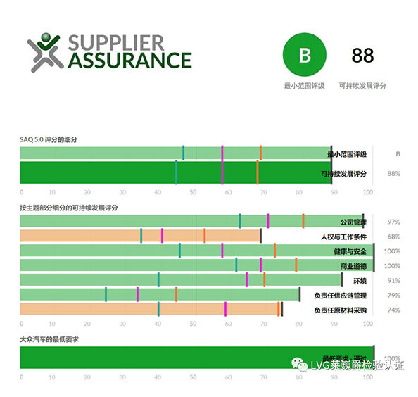SAQ 5.0评估问卷成标准，宝马等汽车品牌纷纷采用，供应商们急了-CSDN博客