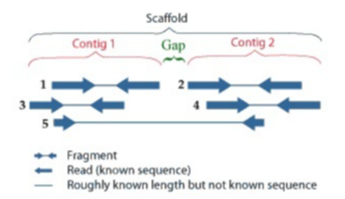 Geometry-enhanced molecular representation learning for property ...