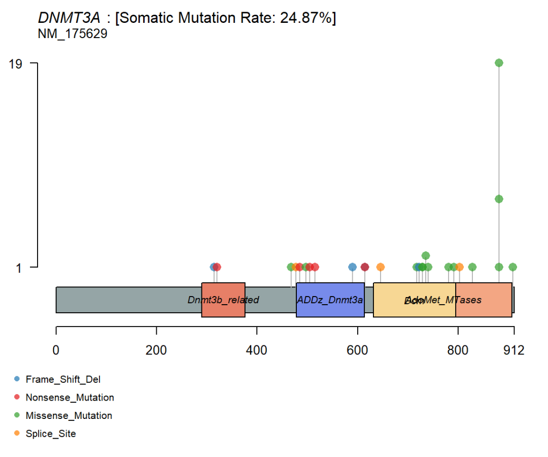 一文学会R包 maftools 简介使用-CSDN博客