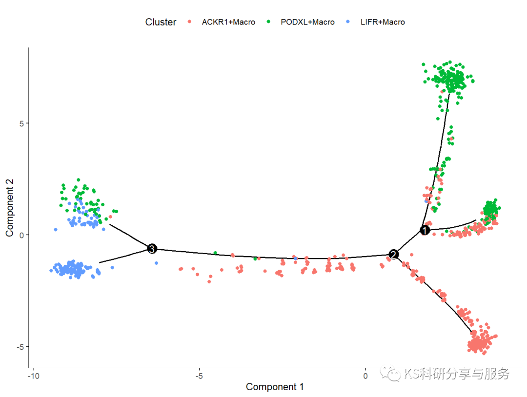 跟着Cell学单细胞转录组分析(九):Monocle2拟时分析演示（上）_r语言单细胞拟时序分析-CSDN博客
