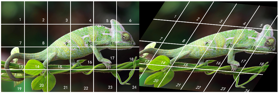 [Pytorch]torchvision.transform_torchvision.transforms对源图像和目标图像进行相同的随机翻转-CSDN博客