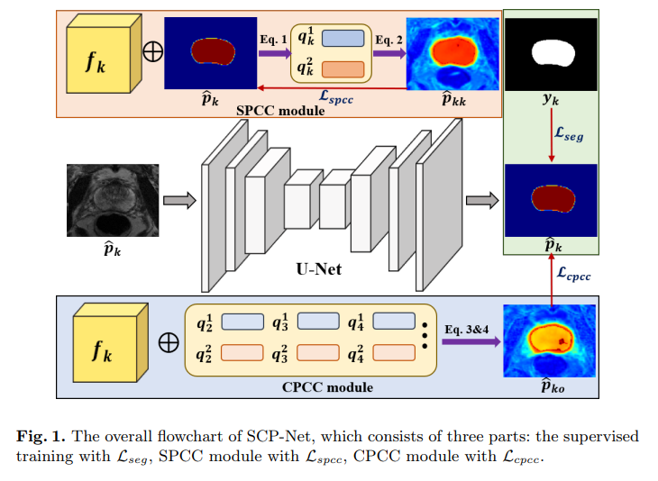 MICCAI 2023 | SCP-Net: 基于一致性学习的半监督医学图像分割方法_miccai2023论文-CSDN博客