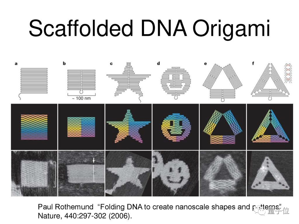 7nm DNA「针管」可将药物分子直接注入细胞，来自约翰霍普金斯大学团队-CSDN博客