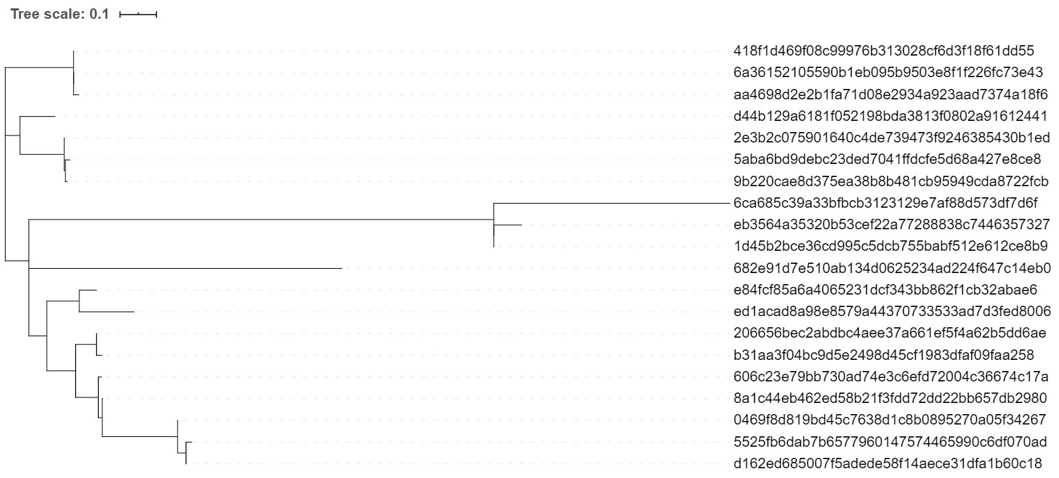 QIIME 2教程. 21进化树推断q2-phylogeny(2020.11)_qiime raxml-CSDN博客