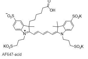 AF647 carboxylic acid ，AF647 COOH，AF647 羧酸，适应于标记蛋白质，是二抗标记的常规荧光染料_af647等同于-CSDN博客