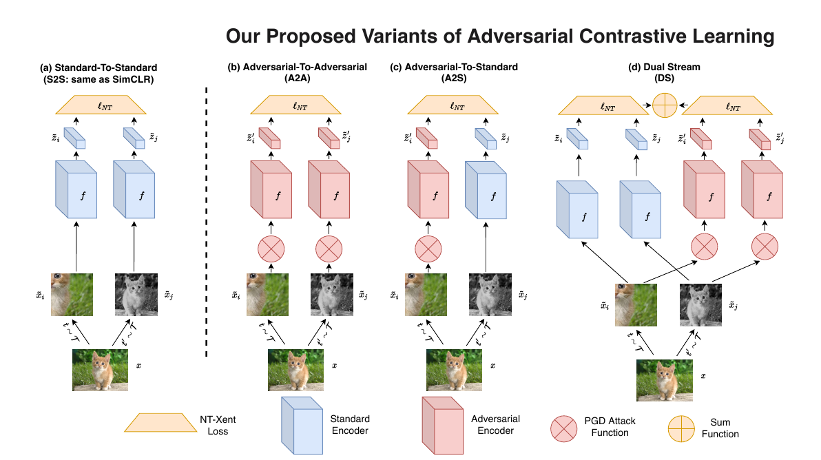 Robust Pre-Training by Adversarial Contrastive Learning-CSDN博客