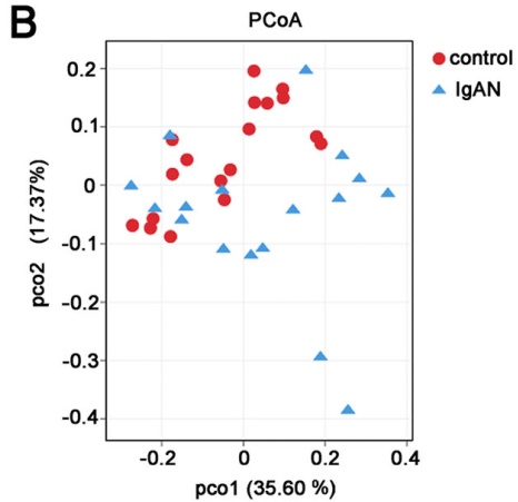 pca降维的基本思想_常见分析方法 | PCA、PCoA和NMDS有什么区别？-CSDN博客