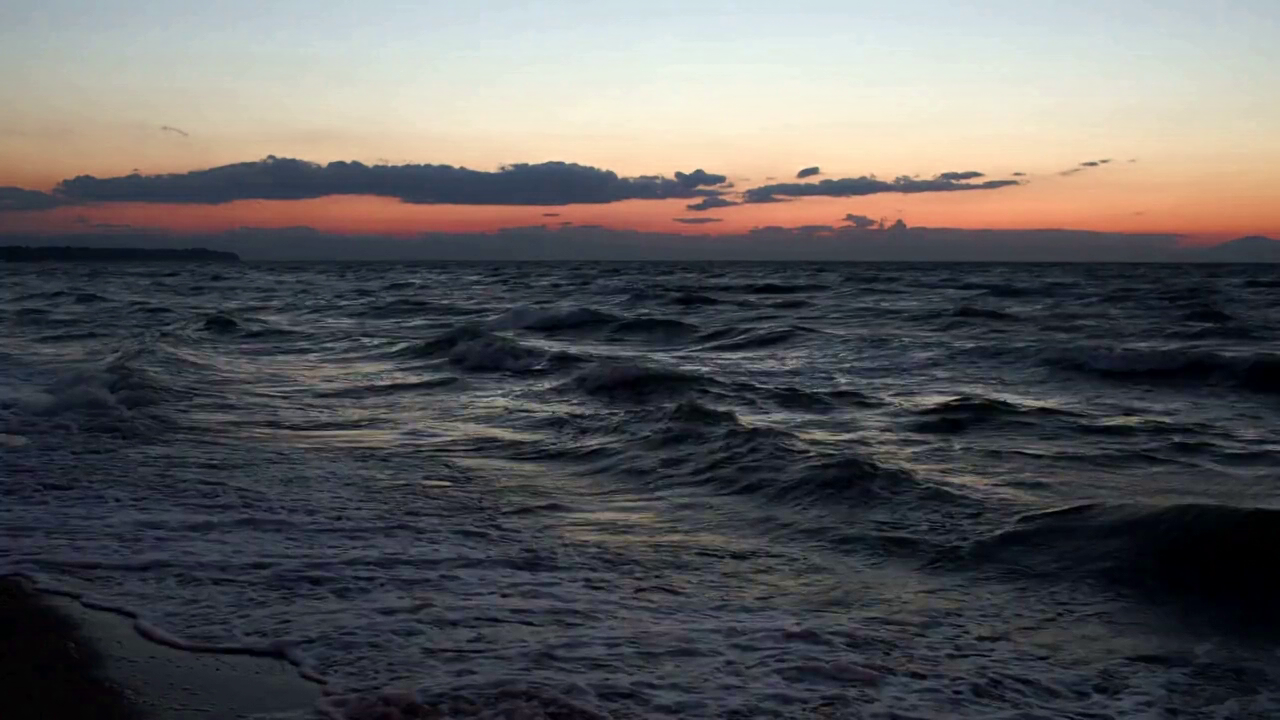 dynamicrafter_pytorch AIGC算法模型_dynamicrafter model loader slow-CSDN博客