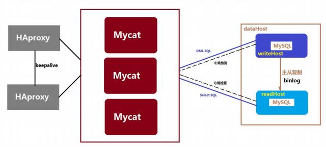 haproxy keepalived_数据库性能优化方案（2）--keepalived、haproxy、mycat的高可用-CSDN博客