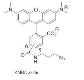 1192590-89-8，5(6) TAMRA azide，四甲基罗丹明-叠氮，叠氮可以和炔烃(alkyne)生成稳定的生物链接-CSDN博客