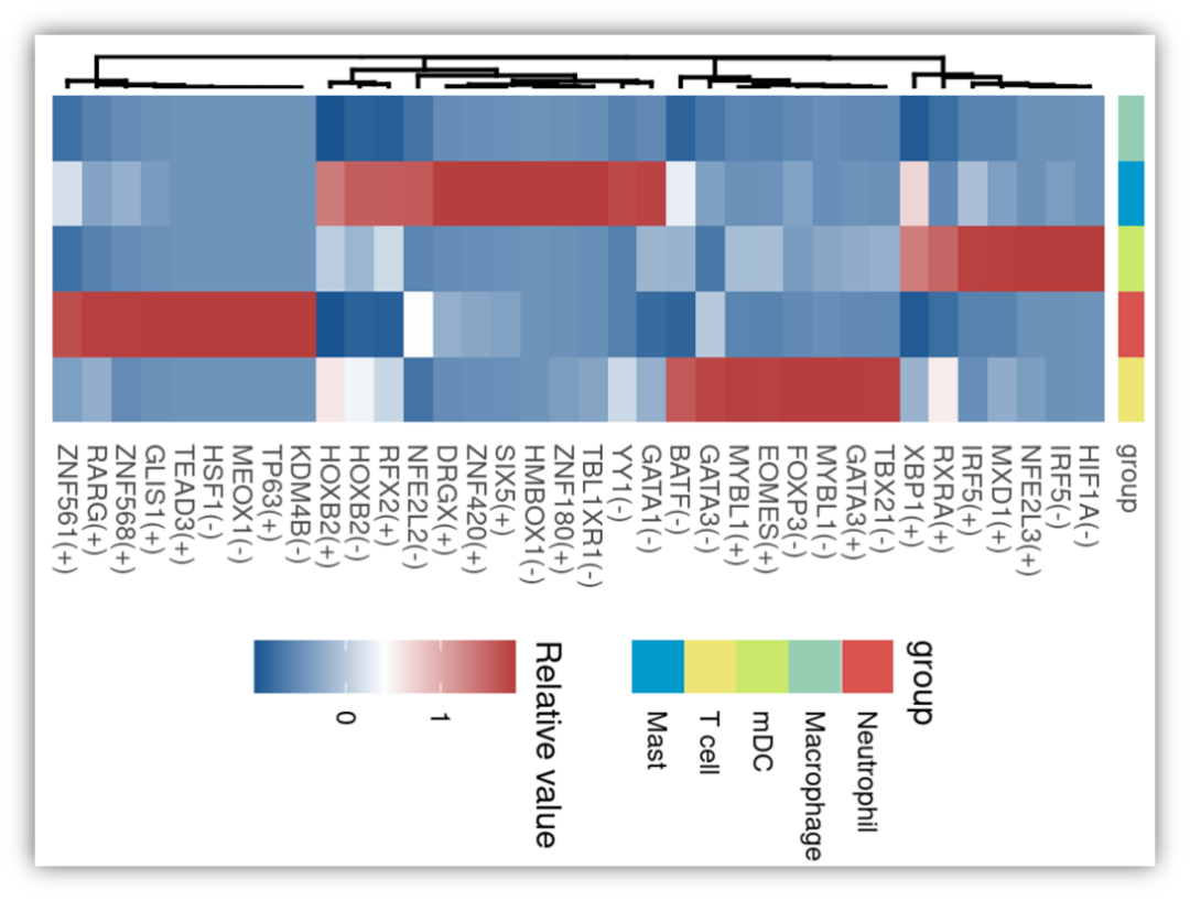 PySCENIC（三）：pyscenic单细胞转录因子分析可视化_pyscenic中文教程-CSDN博客