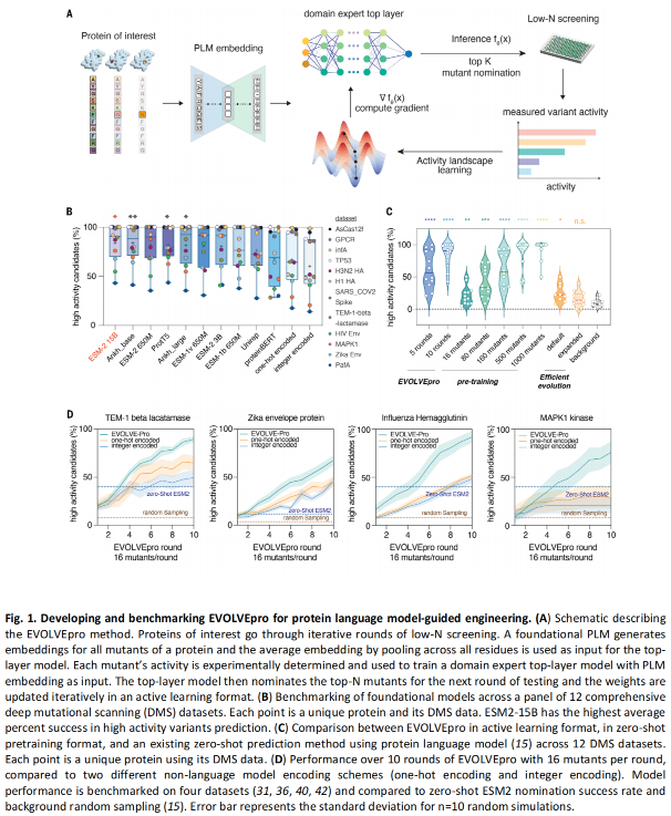 Science正刊｜蛋白质语言模型EVOLVEpro实现快速的定向进化-CSDN博客