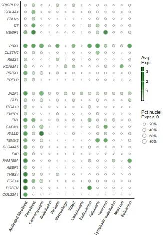 MicrobiomeStatPlot | 气泡图教程Bubble plot tutorial-CSDN博客
