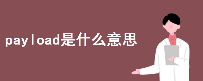 payload什么意思_payload是什么意思-CSDN博客