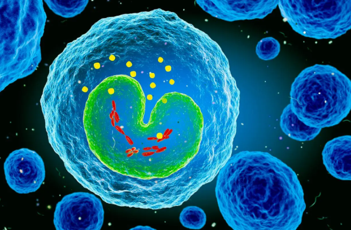 DSPE-PEG-Biotin 385437-57-1可以和哪些分子结合，其结合方式有哪些?-CSDN博客