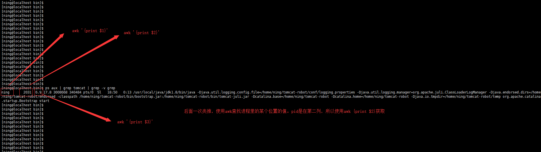 linux查询进程Pid并kill_linux kill pid-CSDN博客