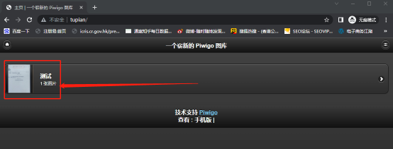 内网搭建图片网站：用cpolar发布piwigo网站 3-3-EW帮帮网