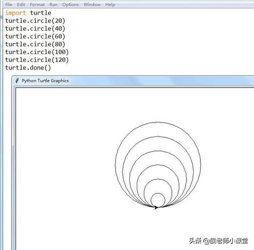 Python中用turtle画一个圆形python中turtle画圆的代码python用海龟画圆的代码 Csdn博客 1564