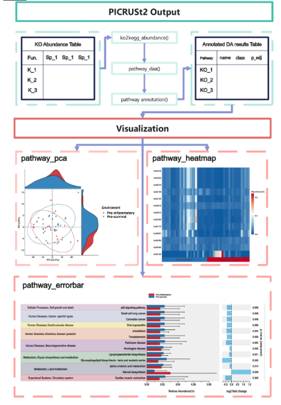 基于功能预测数据下游分析的R包ggpicrust2-CSDN博客