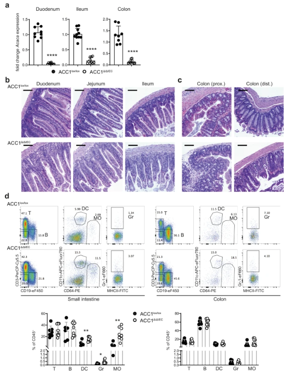 AbMole|乙酰辅酶 A 羧化酶 1 介导的新脂肪合成对肠道干细胞功能的影响_acc1和fas-CSDN博客