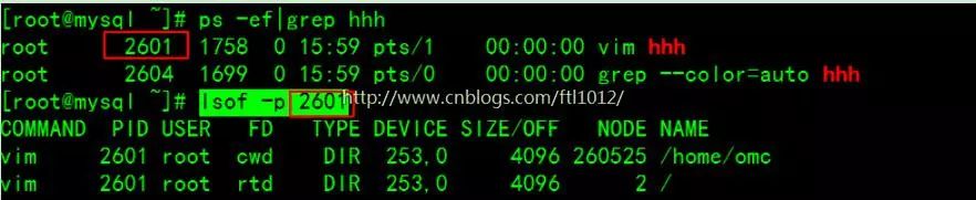 Linux lsof命令详解-CSDN博客