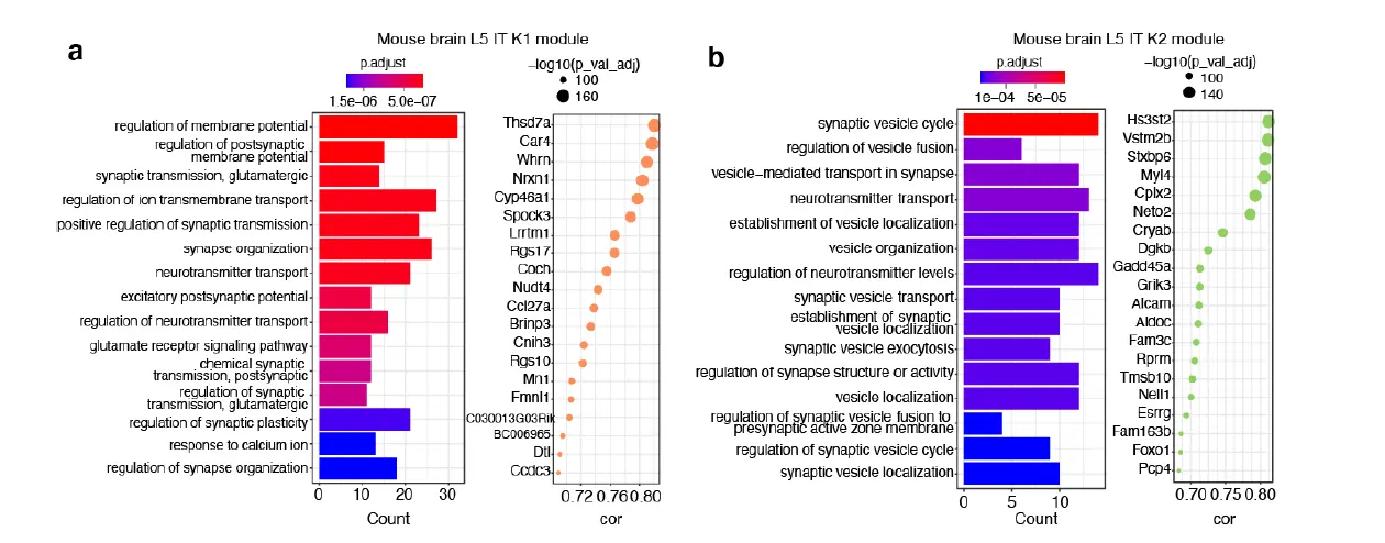 10X单细胞空间联合分析之十一（CellTrek）-CSDN博客