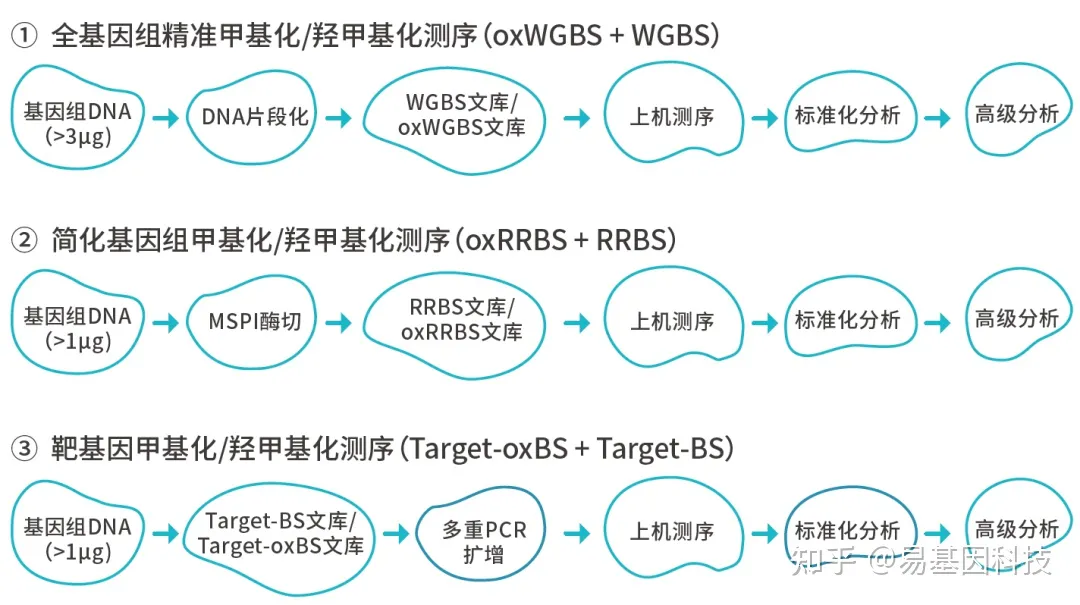 易基因｜一文读懂精准简化基因组甲基化测序(RRBS+oxRRBS)分析怎么做_rrbs测序结果怎么看-CSDN博客