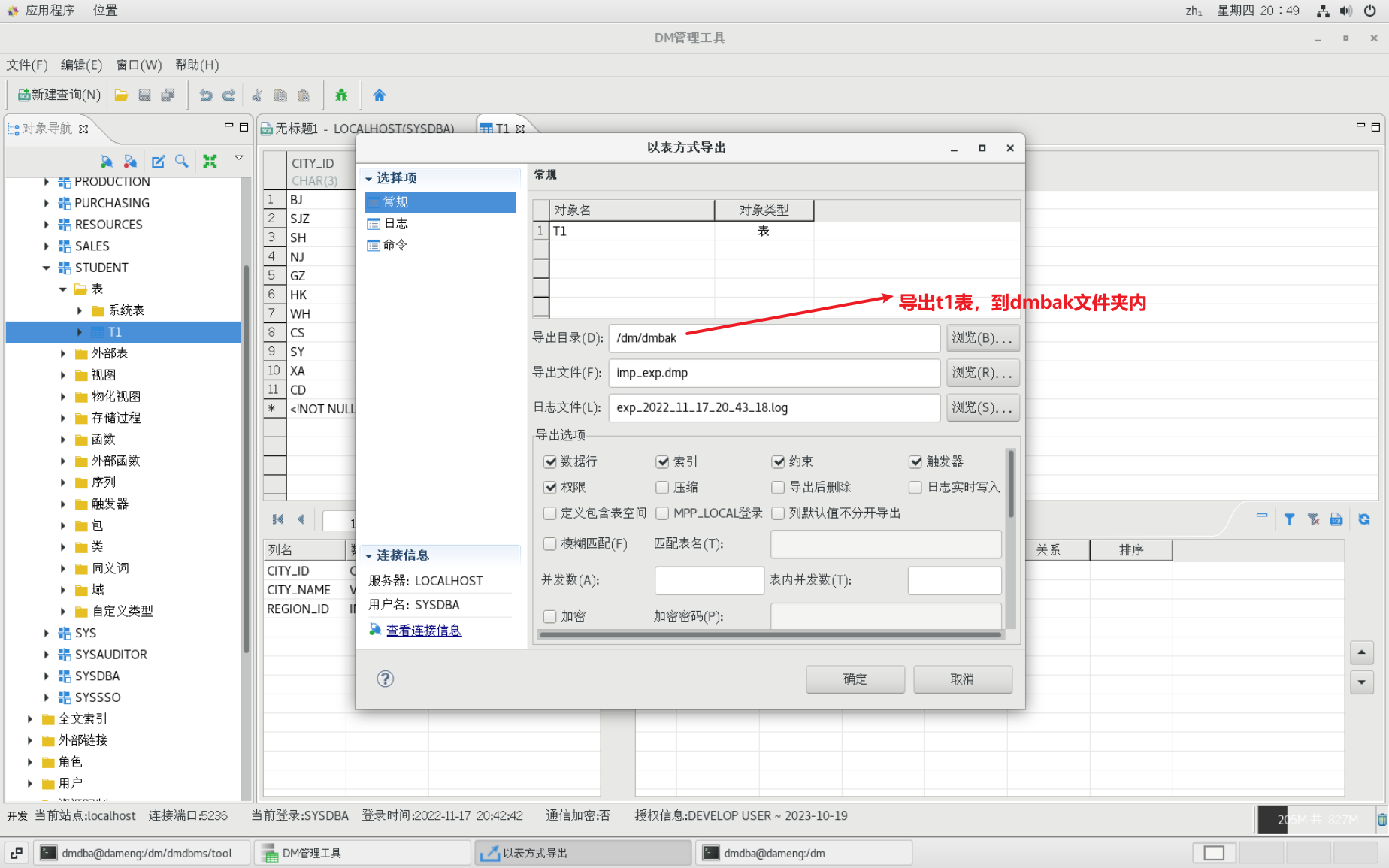 四、DM Manager工具使用_dm数据库连接工具-CSDN博客