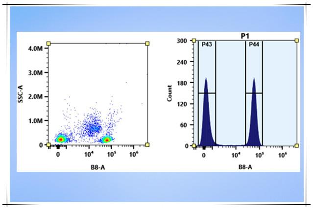 PE Cyanine5，PE Cy5，PE Cy5串联染料，主要吸收峰位于565nm，发射峰位于666nm_pe-cyanine5和pe-CSDN博客