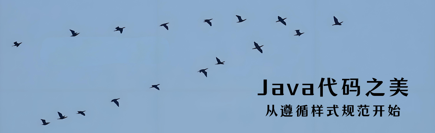 Java代码之美，从遵循样式规范开始java变成规范 Csdn博客
