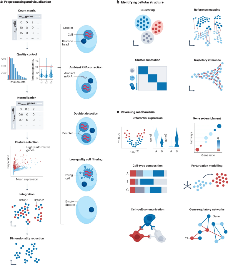 热点综述 | 跨模态单细胞分析的最佳实践_sccoda-CSDN博客