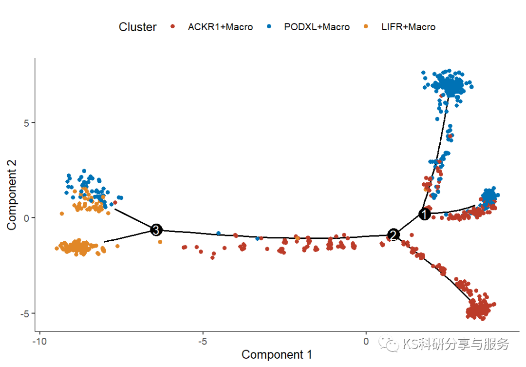 跟着Cell学单细胞转录组分析(十):Monocle2拟时分析演示之结果可视化（下）_细胞拟时间分析 密度图-CSDN博客