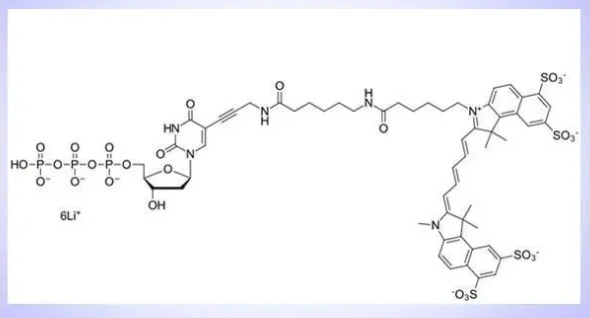 sulfo-Cyanine5.5 dUTP，sulfo-Cy5.5 dUTP，一种优异的DNA染料-CSDN博客