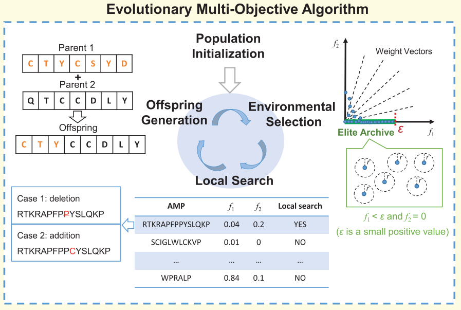 Ieee Cim Drugai团队提出基于多目标进化算法的抗菌肽设计方法 Csdn博客 