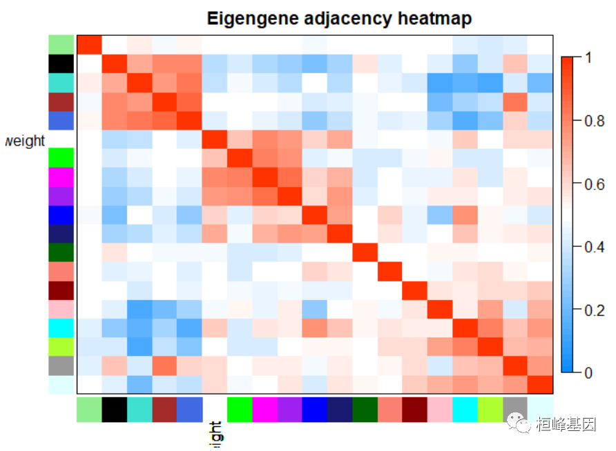 RNA 13. SCI 文章中加权基因共表达网络分析之 WGCNA_wgcna共表达网络分析-CSDN博客