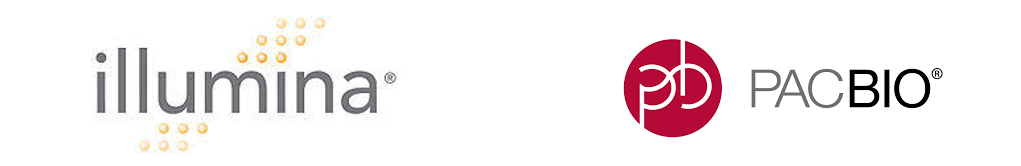 DNA测序原理_dna测序的是哪条链-CSDN博客