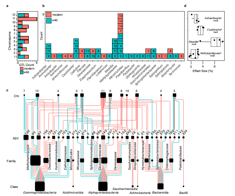 宿主基因组-微生物关联（mGWAS）新思路！-CSDN博客