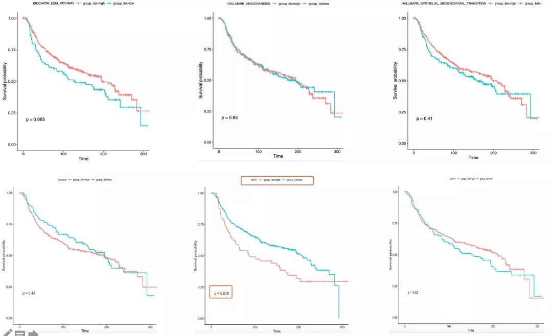GSVA和生存分析-CSDN博客