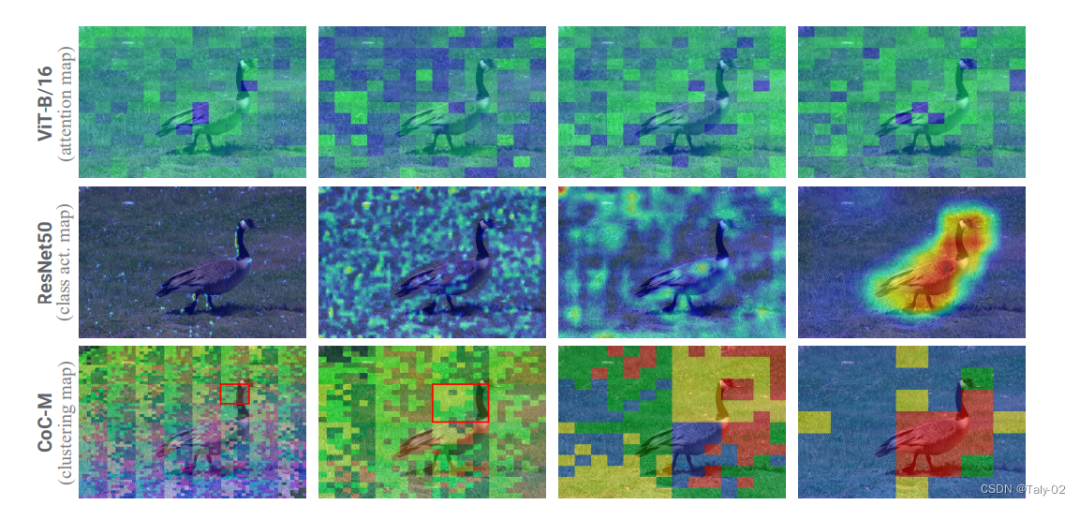 ICLR 2023 Oral！全新视觉框架：Image as Set of Points-CSDN博客