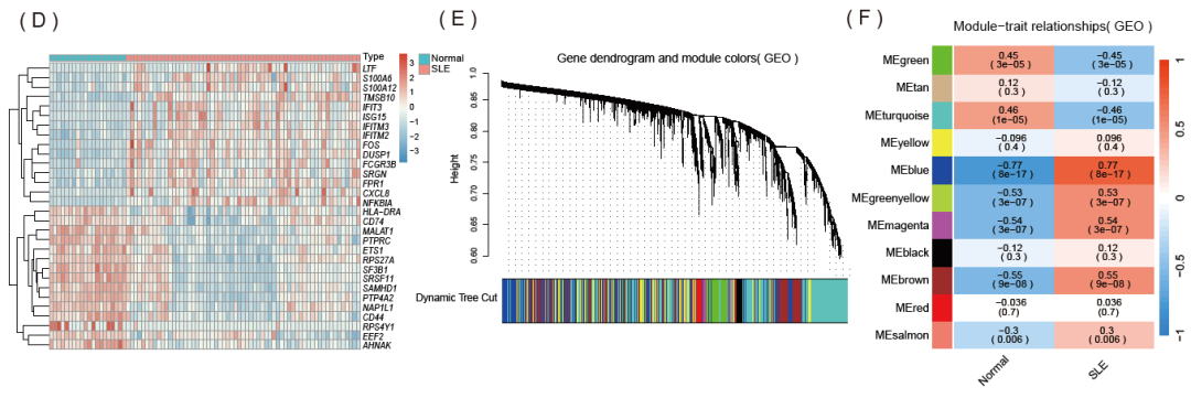 iMetaOmics | 中南大学夏晓波团队揭示青光眼和SLE发病机制新关联-CSDN博客
