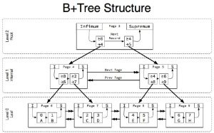 delphi dbgrideh 字段显示为blob_MySQL问题分析-字段限制-CSDN博客