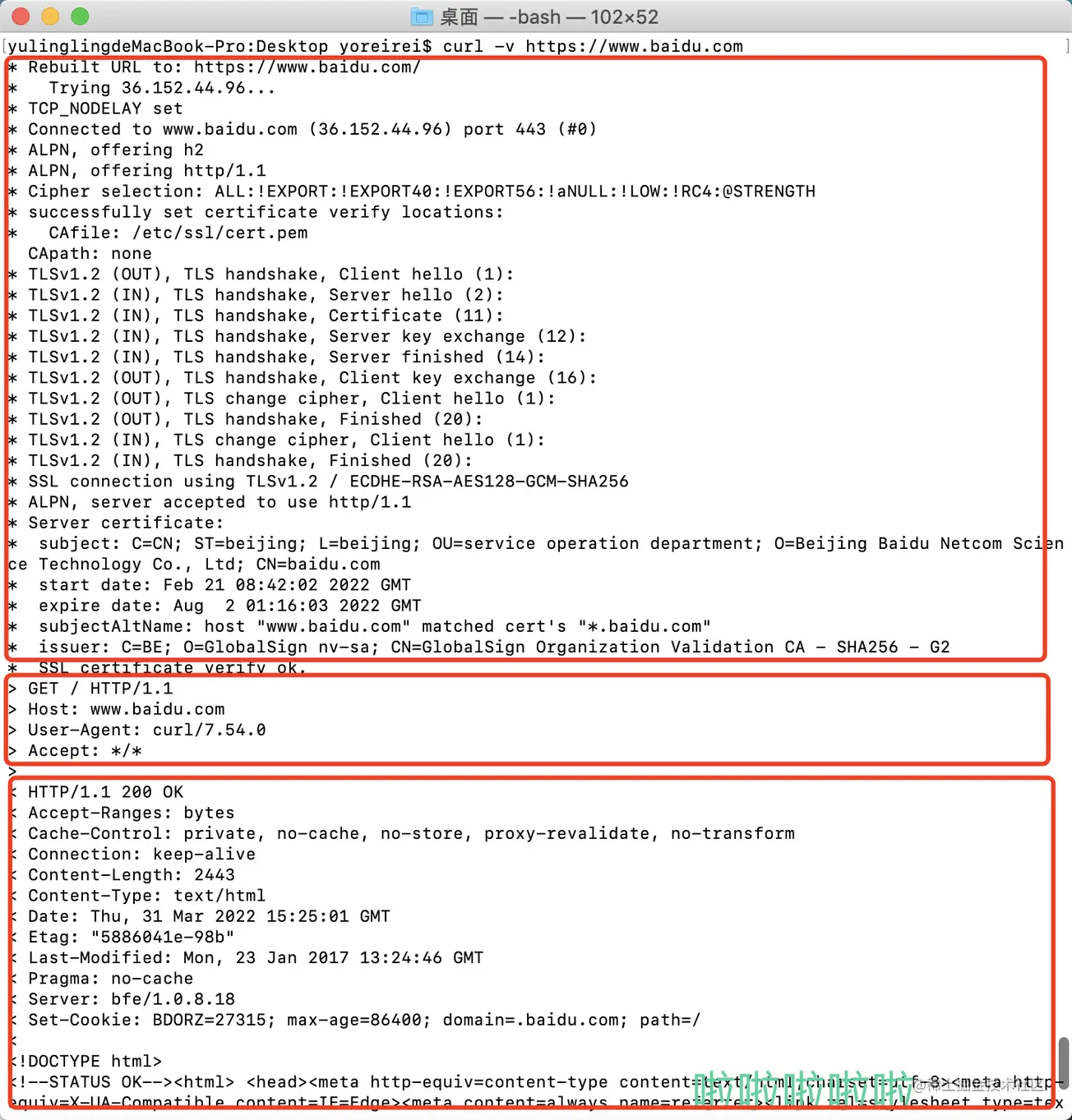 必须推荐的Curl工具使用指南_vscode curl-CSDN博客