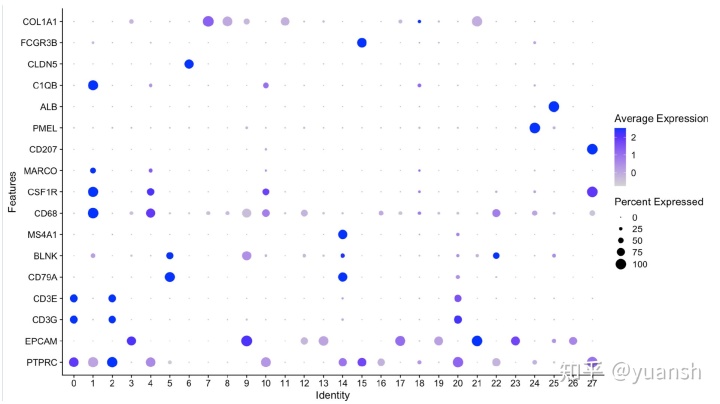 seurat提取表达矩阵_（单细胞-SingleCell）Seurat流程文献复现_刘兮mkq的博客-CSDN博客