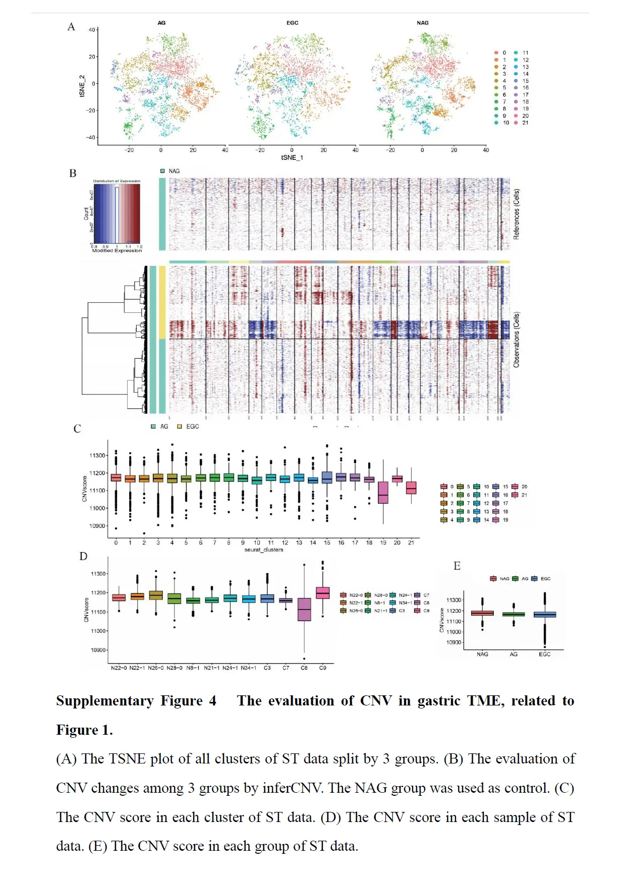 10X单细胞空间全面剖析早期胃癌进展中的免疫微环境_lgals9 免疫抑制-CSDN博客