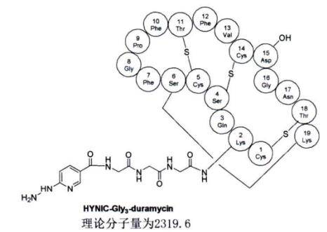 HYNIC-Gly3-duramycin分子量：2319.6-CSDN博客