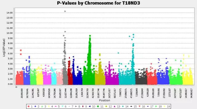 tassel软件使用linux,【技术干货】动植物GWAS经典软件TASSEL的使用_能睡的博客-CSDN博客